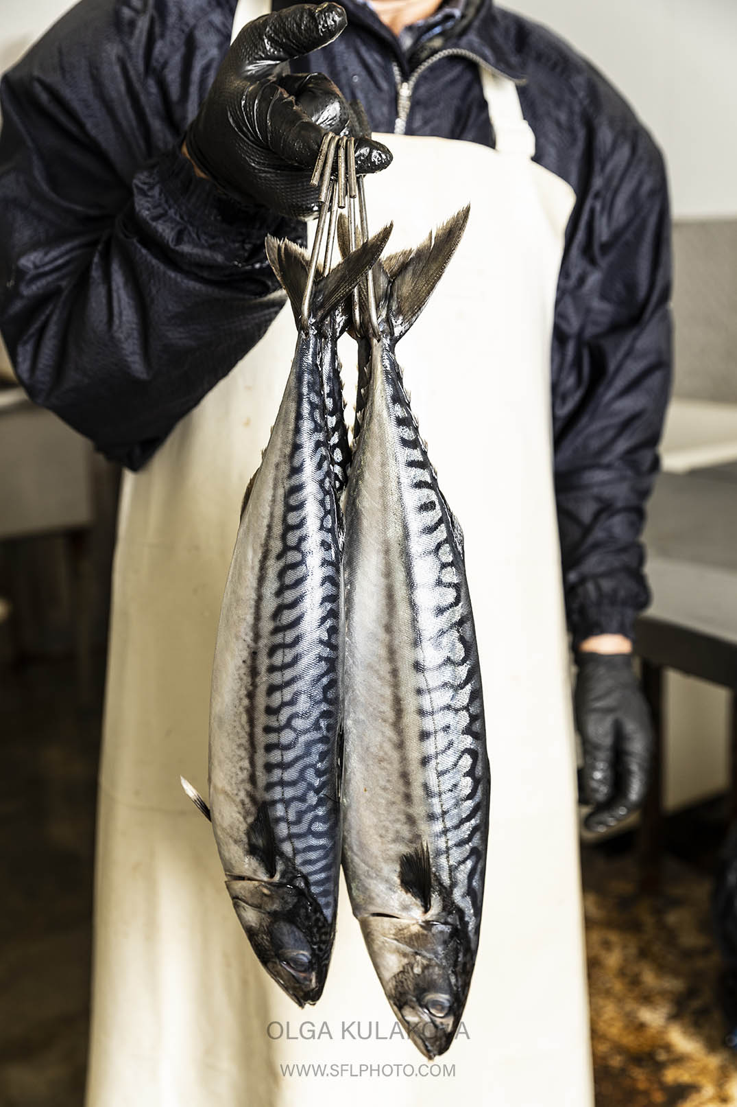 Photo shoot for North Fish USA INC. - Miami based fish company - Miami ...