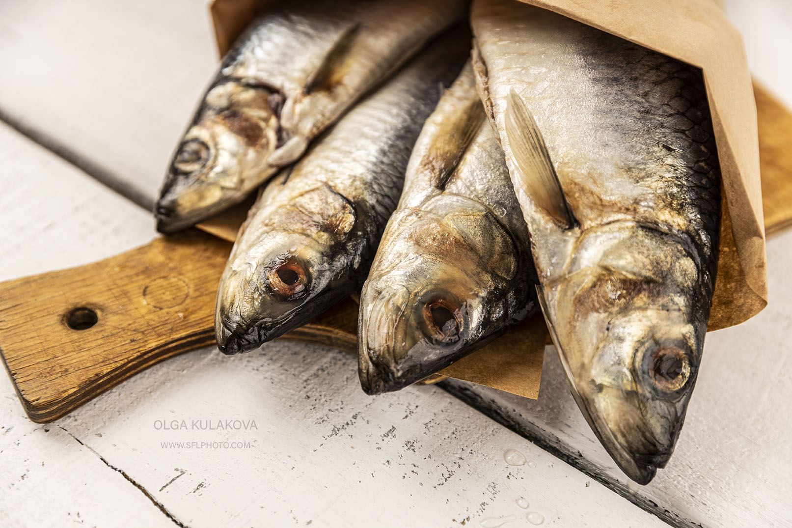 Photo shoot for North Fish USA INC. - Miami based fish company - Miami ...