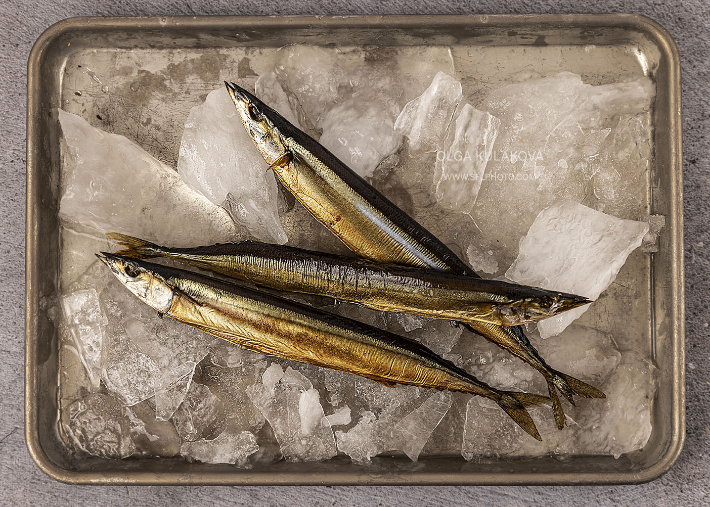 Photo shoot for North Fish USA INC. - Miami based fish company - Miami ...