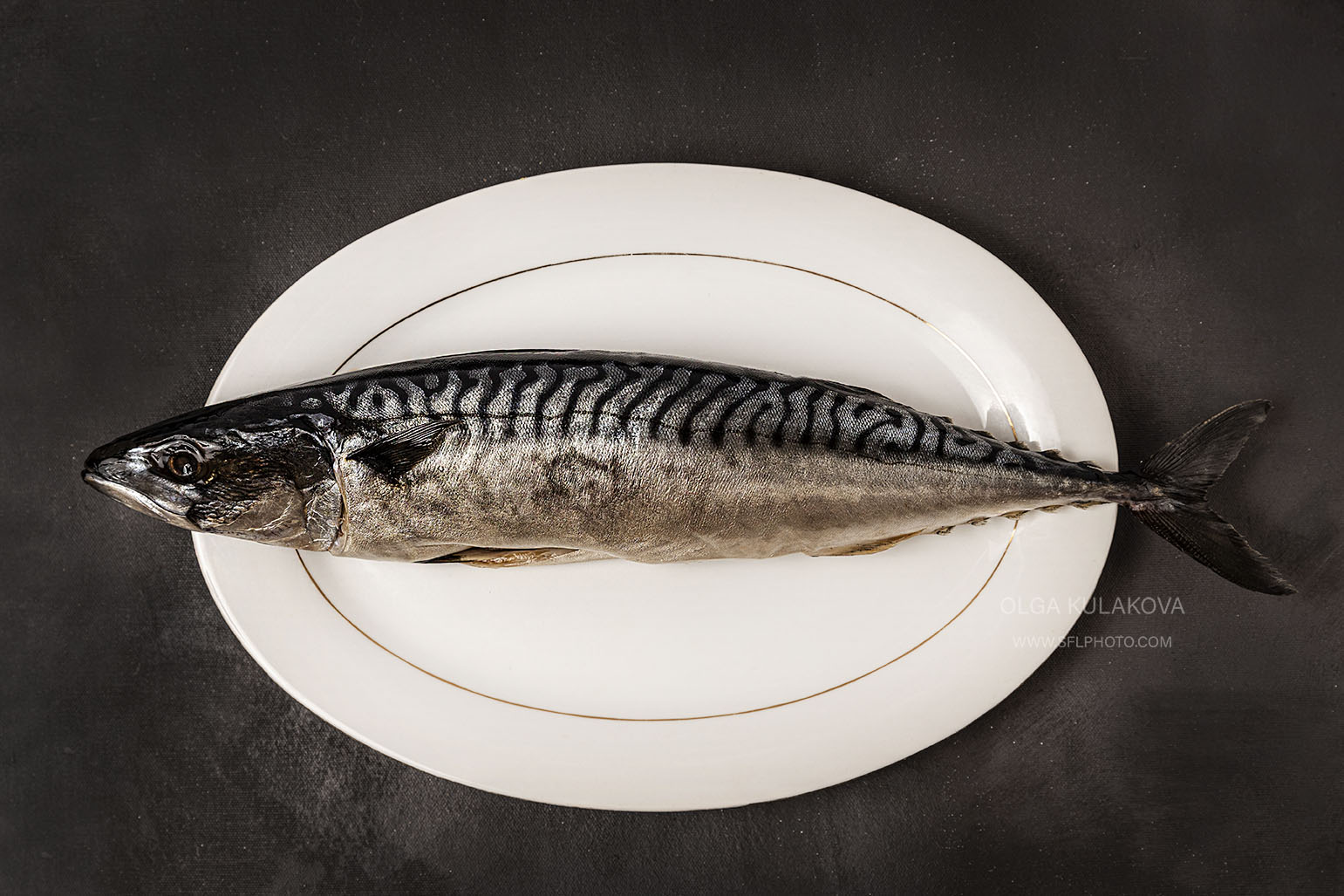 Photo shoot for North Fish USA INC. - Miami based fish company - Miami ...