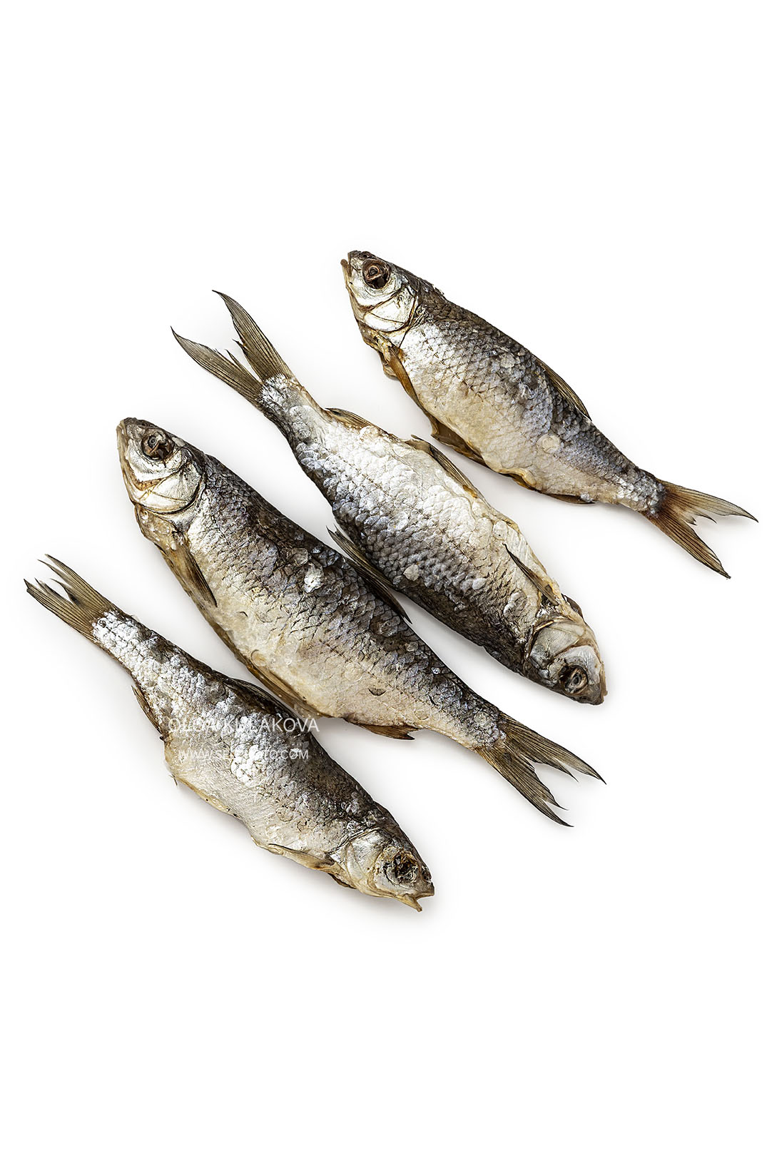 Photo shoot for North Fish USA INC. - Miami based fish company - Miami ...