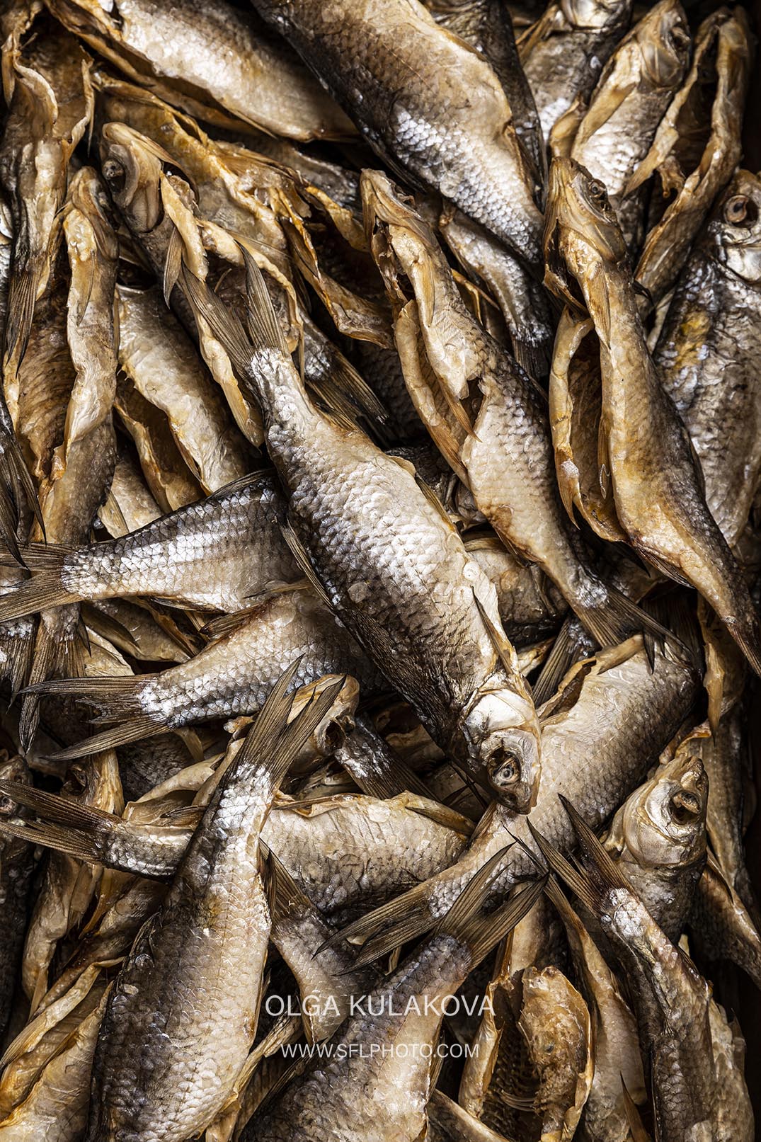 Photo shoot for North Fish USA INC. - Miami based fish company - Miami ...