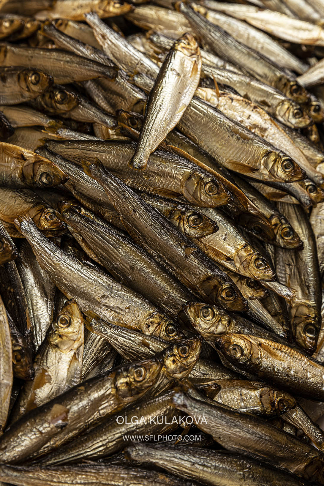 Photo shoot for North Fish USA INC. - Miami based fish company - Miami ...