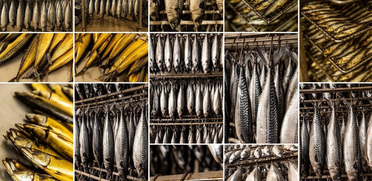 Photo shoot for North Fish USA INC. - Miami based fish company - Miami ...