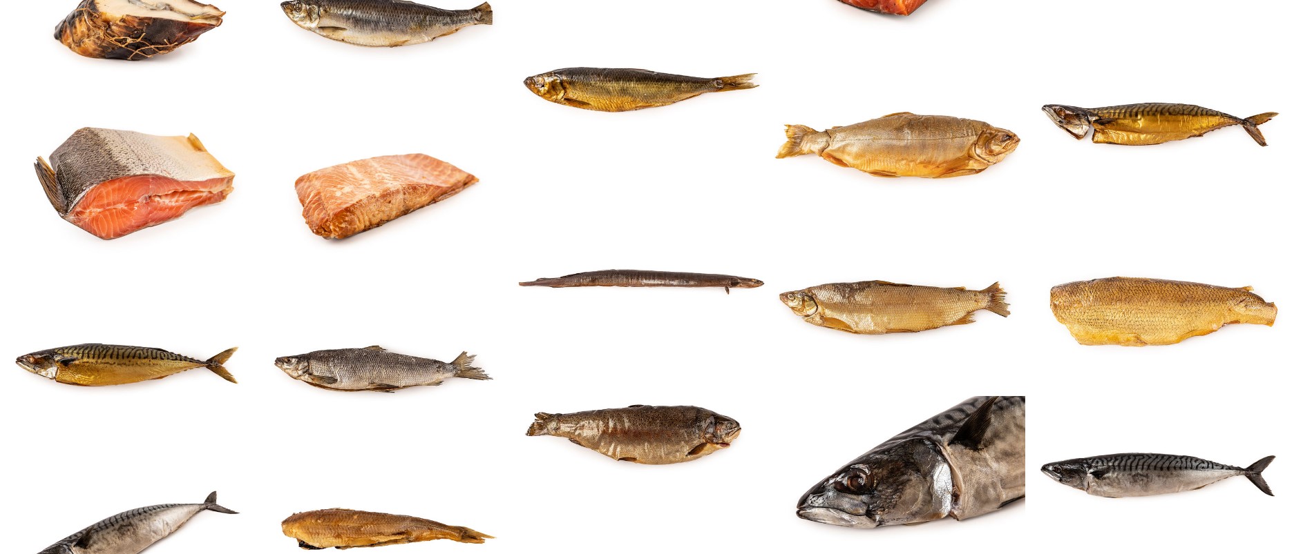 Photo shoot for North Fish USA INC. - Miami based fish company - Miami ...